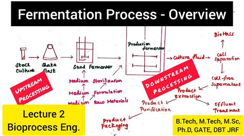 Fermentation Process Upstream Processing Downstream Processing