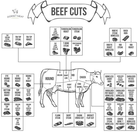 Cow Cuts Diagram Beef Cut Diagram Chart