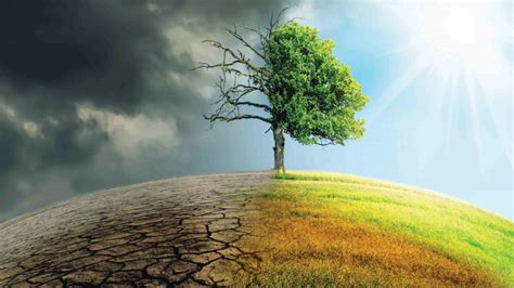 Political Will Is The Gateway To Addressing Climate Change In SA