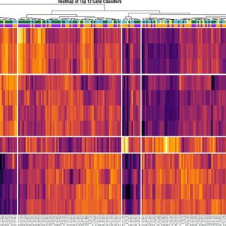 Heatmap And Unsupervised Hierarchical Clustering Of The Gene Expression