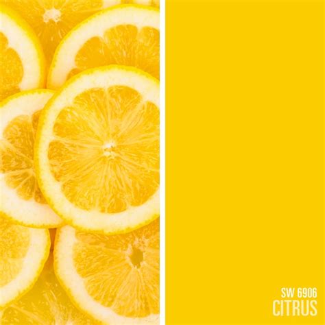 Citrus SW 6906 Yellow Paint Color Sherwin Williams Yellow Paint