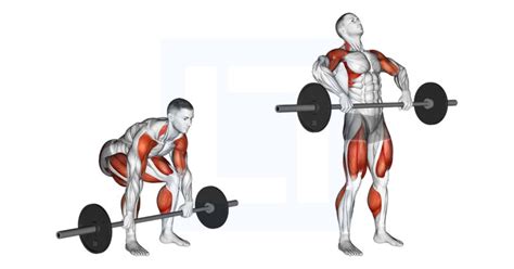 Kettlebell Single Arm Clean And Press Guide Benefits And Form