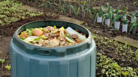 Cómo hacer compost casero