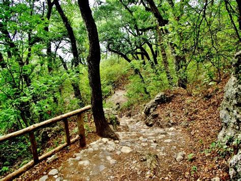 Parque Ecologico Chipinque Parques Ecologicos Parques