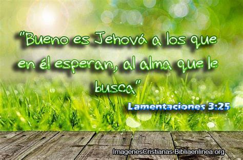 Imagenes Con Pasajes Acerca De La Paciencia Imagenes Cristianas