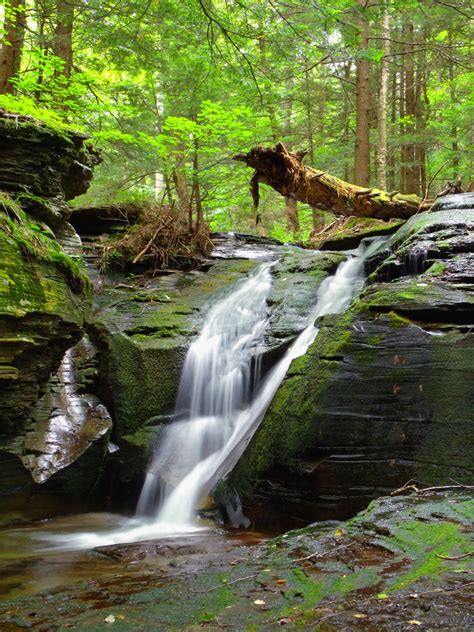 Bildet Tre Natur Skog Foss Lita Elv Bekk Villmark Blad Sommer