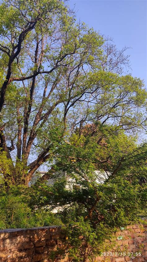 Pin By Megha On Quick Saves In 2024 Photography Quick