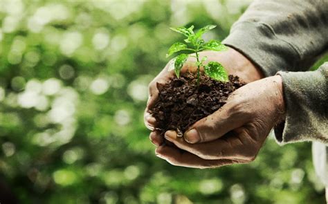 Mantengamos Vivo El Suelo Protejamos La Biodiversidad Del Suelo
