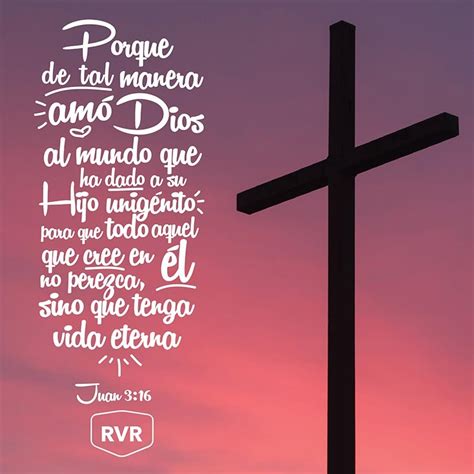 RVR Versículo Bíblico Diario Juan 3 16