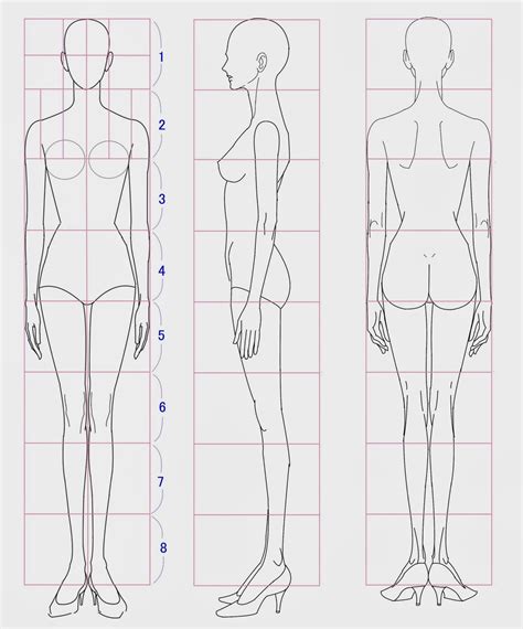 Pin Em Proportions Of The Body