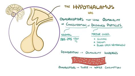 Nephrogenic Diabetes Insipidus