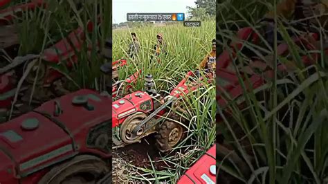 झल सरवत रव 25एकर ऊस शतकर subscribe shortvideo video YouTube
