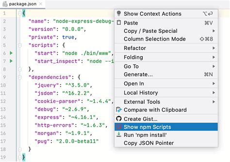 Npmpnpm Yarn Intellij Idea