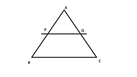 in a abc pq is a line segment intersecting ab at p and ac at qsuch that seg pq seg bc if pq