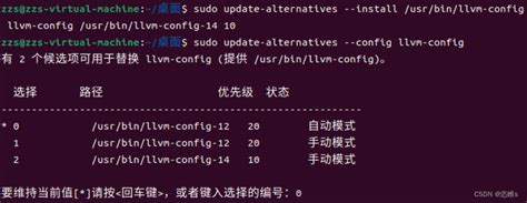 llvm——安装多版本llvm和clang并切换使用（ubuntu） llvm版本 csdn博客