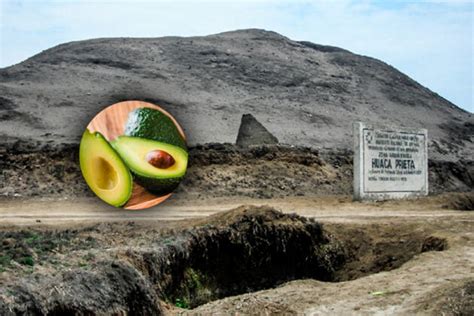 Huaca Prieta presenta una de las evidencias más antiguas de consumo de