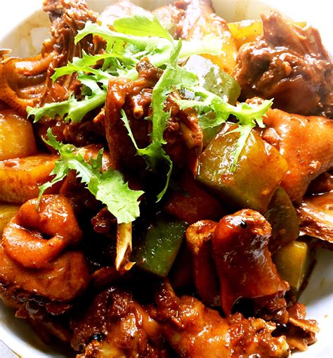 炖鸭子怎么做 炖鸭子的做法 豆果美食