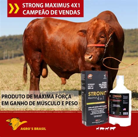 4 Frascos Strong Maximum Anabolic Engorda Gados Novilhas Mercado Livre