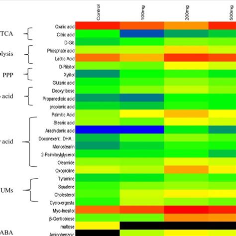 Comparative Metabolite Profile Analysis Of The Fermentation Process