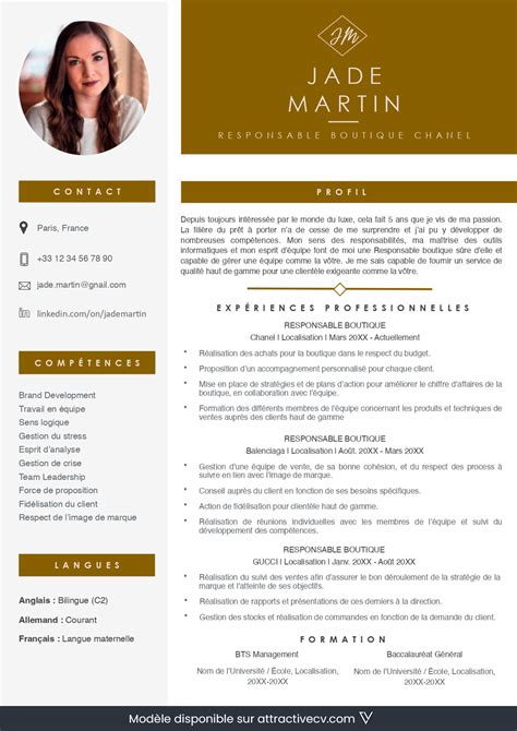 Exemples De Cv Professionnel Pour Word Mac Et Pdf