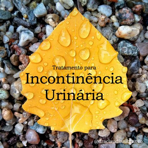 Incontin Ncia Urin Ria Dra Claudiani Alves Branco Gregorin