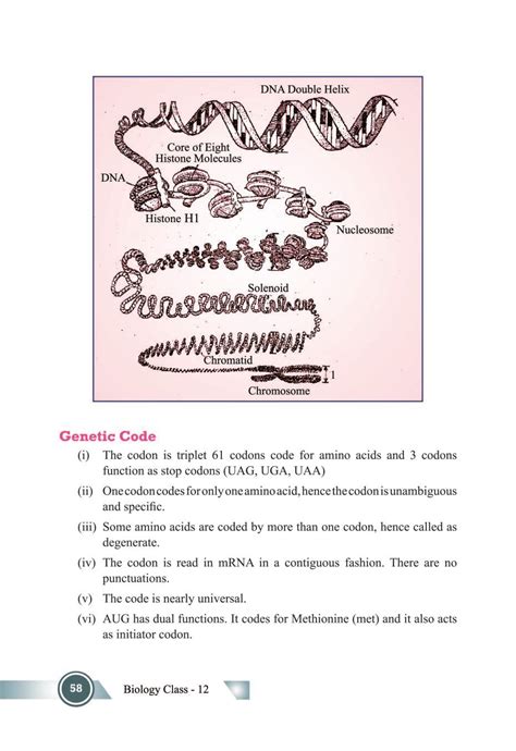 molecular basis of inheritance class 12 notes pdf वंशागति के आणविक आधार के नोट्स all