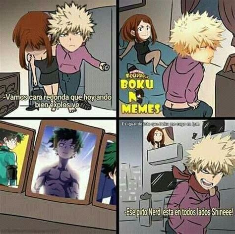 Memes De Bnha Memes De Anime Memes De Perros Chistosos Memes Otakus