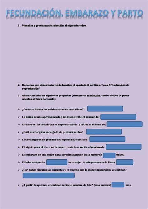 Actividad de Fecundación embarazo y parto Embarazo y parto Ciencias
