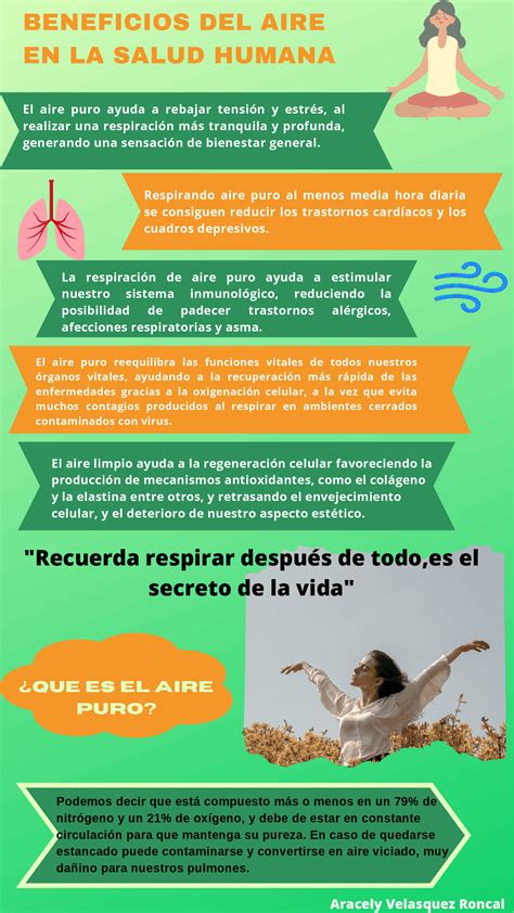 INFOGRAFIA ACERCA DEL LOS BENEFICIOS DEL AIRE PURO Monografías