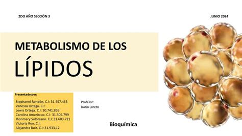 Metabolismo de lípidos St Escuela medica uDocz