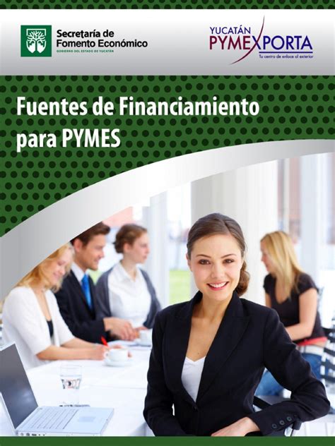 PDF Fuentes De Financiamiento Para PyMEs PDFSLIDE NET