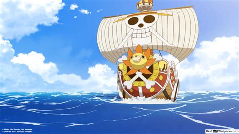 One Piece Sunny Wallpapers Top Free One Piece Sunny Backgrounds