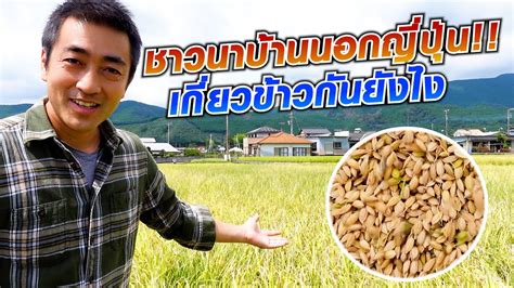 Eng Sub How to harvest rice in Japan ชาวนาบานนอกญปนเกยวขาว