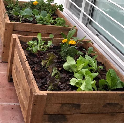 Pometina On Instagram HUERTAS EN TERRAZA Cajones De Huerta Con