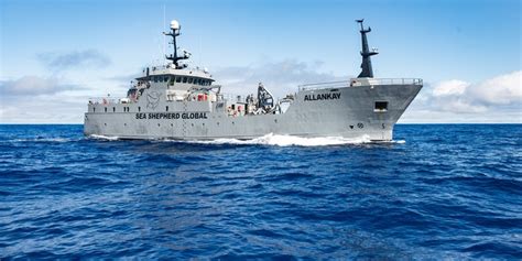 Sea Shepherd Global