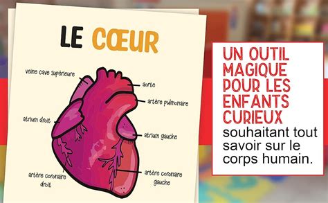 Comprendre Tout sur le Corps Humain Encyclopédie de l anatomie humaine