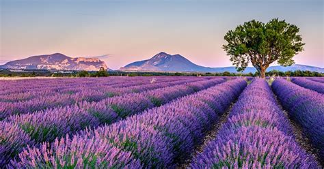 Diagonal Lines In Photography Comprehensive Tips And Examples