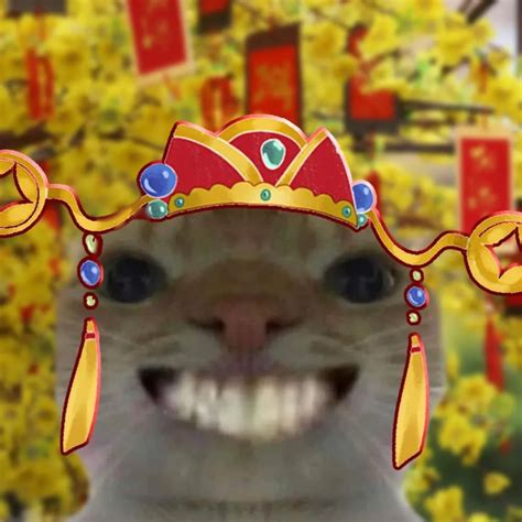 40 ảnh mèo meme tết 2024 đầy vui nhộn cực độc đáo