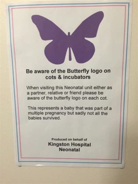 Este es el conmovedor significado de la mariposa púrpura en los