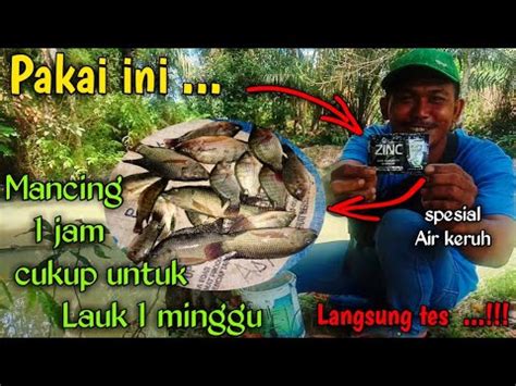 Umpan Jitu Mancing Nila Babon Susah Makan Di Air Keruh Langsung Tes