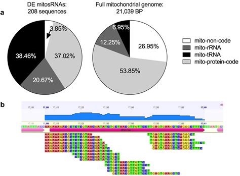 differentially expressed mitosrnas align to coding and non coding download scientific diagram