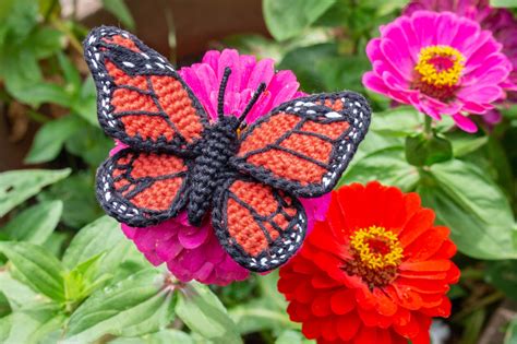 Butterfly Amigurumi Tutorial Stella S Yarn Universe