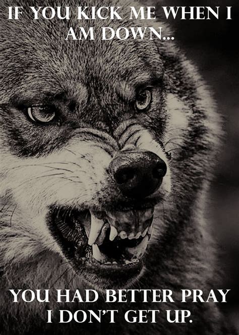 You Have Been Warned Lone Wolf Quotes Wolf Quotes Warrior Quotes
