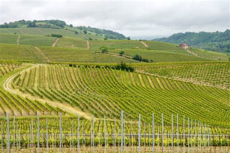 Alto Piemonte e Gran Monferrato per 9 mesi la più grande città europea
