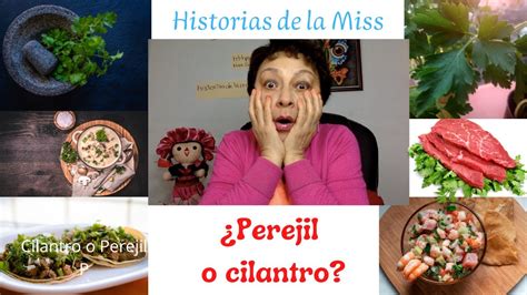 Diferencia Entre Cilantro Y Perejil YouTube