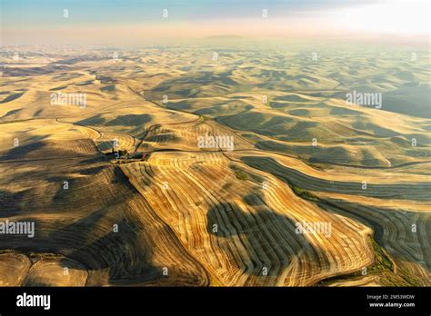 An Aerial Shot Of Golden Wheat Fields In The Rolling Hills Of The