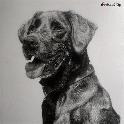 Custom Hand Drawn Graphite Charcoal Portraits From Photo X