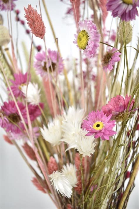 Droogbloemen Boeket Bestellen Natuurlijk Bloemen