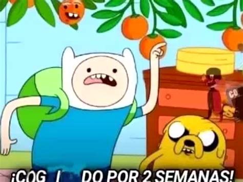 Pero Mi Culo Meme Subido Por Federico El Papu Memedroid