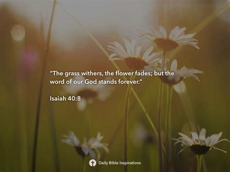 Isaiah Daily Bible Inspirations
